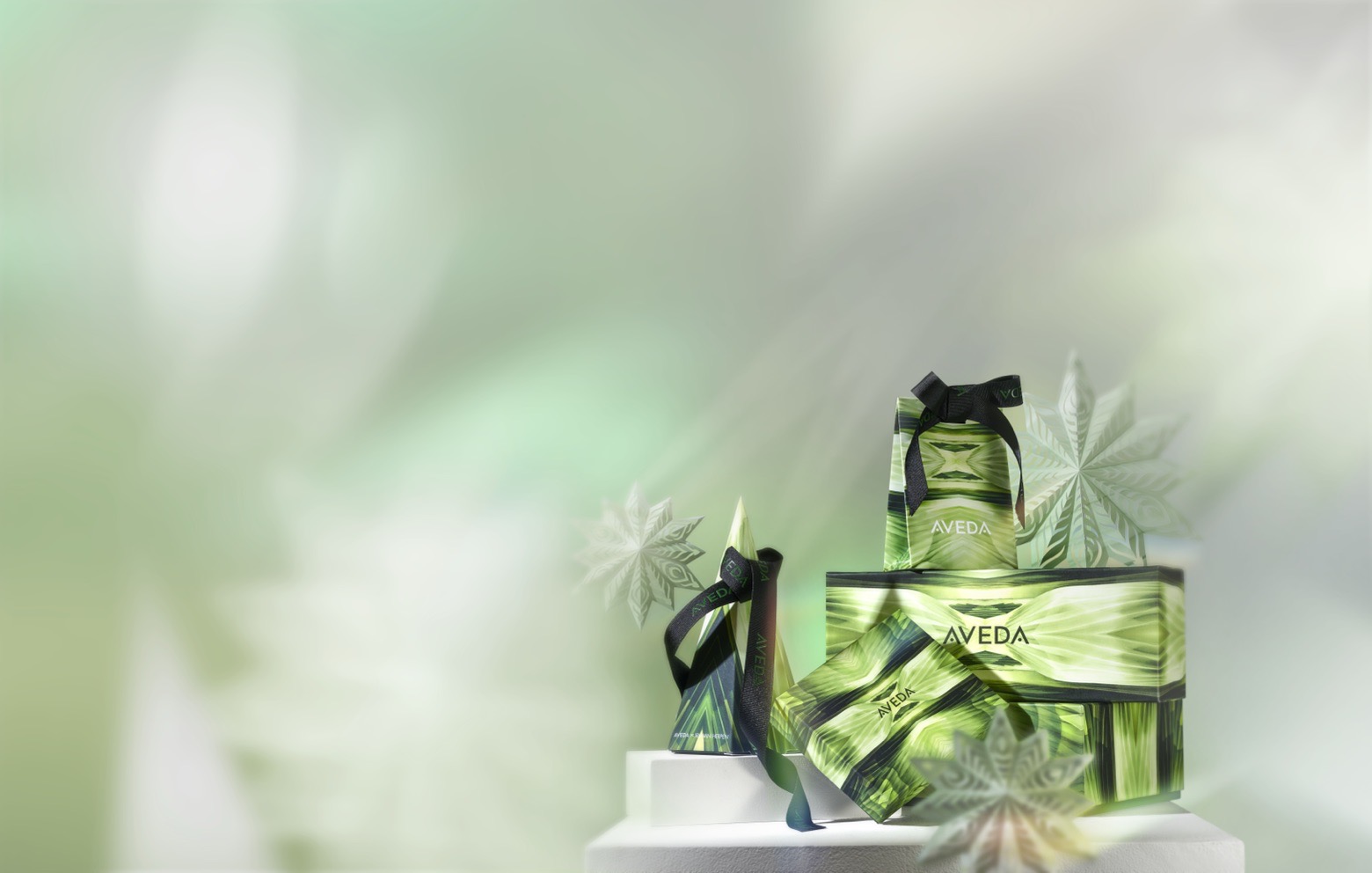 アヴェダホリデーギフト2023 【AVEDA × IRIS VAN HERPEN（イリス・ヴァン・ヘルペン）】 | CHARA【キャラ】